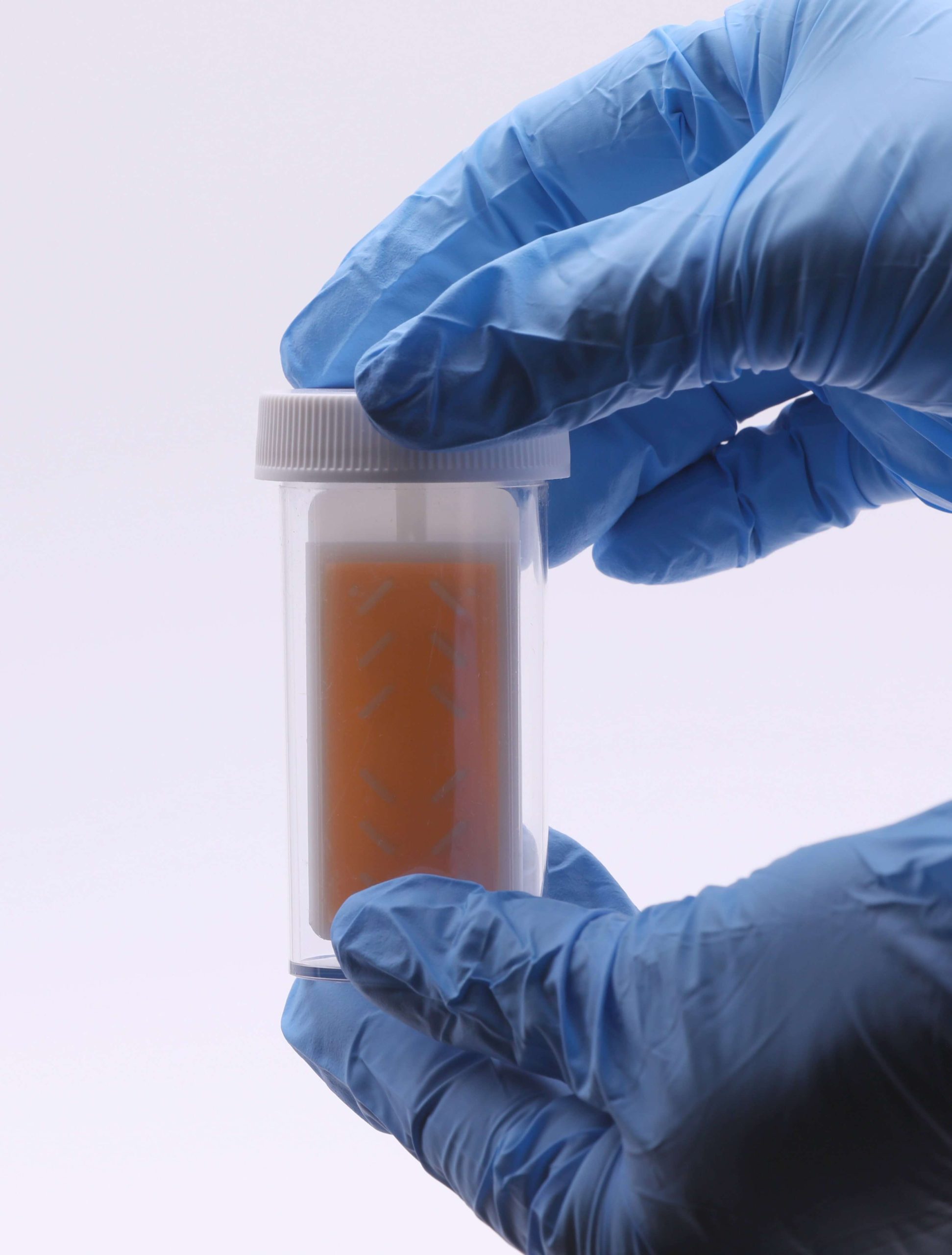 Dipslide – Microbial Testing Services – Biosan Laboratories, Inc.